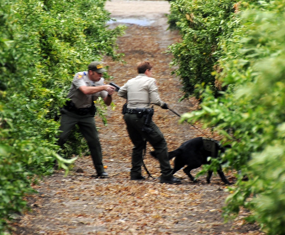 Police pursuit leads to 3 arrests | The Fillmore Gazette Police pursuit leads to 3 arrests | The Fillmore Gazette